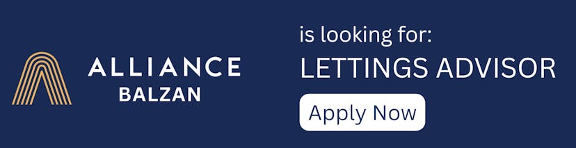 Find your dream job with Alfred